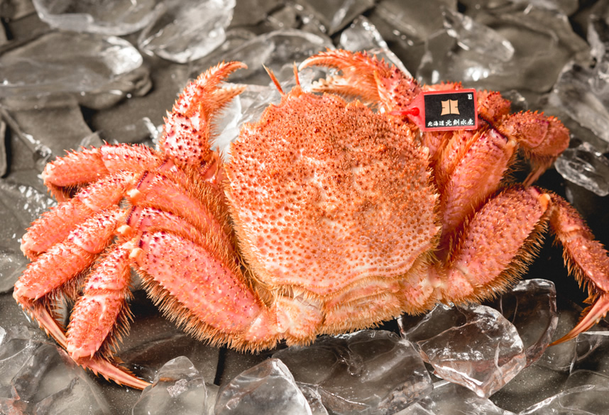 北海道の海鮮・魚介特集｜「至福の魚介」を北海道から直送！北海道 北釧水産